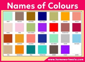 Colours Name Chart - Explore List of 60+ Names in English